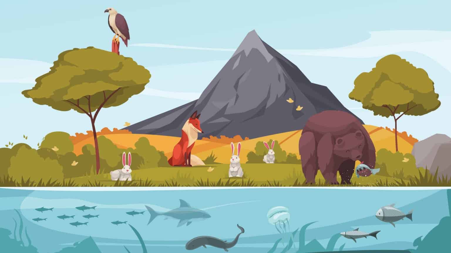 Ecosystem - A-Z Animals