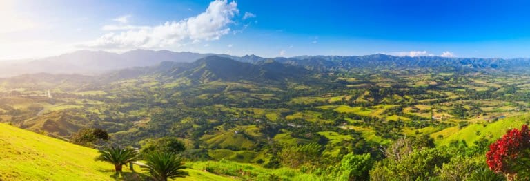 Our Picks for the Coolest Extinct Animals To Ever Walk the Earth - A-Z ...