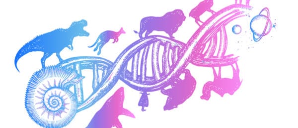 Animals by Scientific Name: A Complete List - A-Z Animals