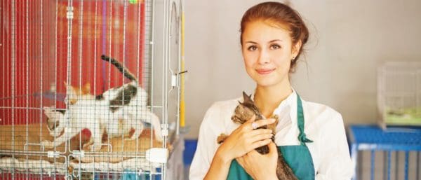 The Top 10 Most Fun Jobs With Animals - A-Z Animals