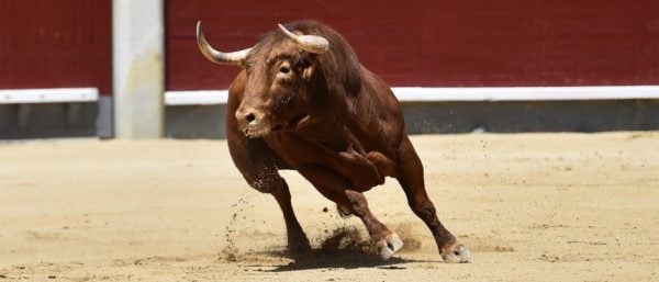 Wildlife in Spain - Types of Spanish Animals - A-Z Animals