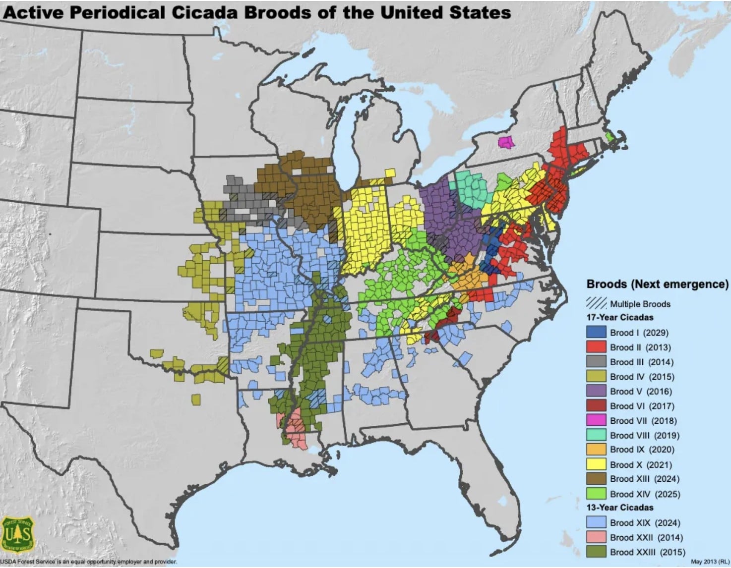 The Geography of Cicadas: Which States Experience the Most Emergence ...