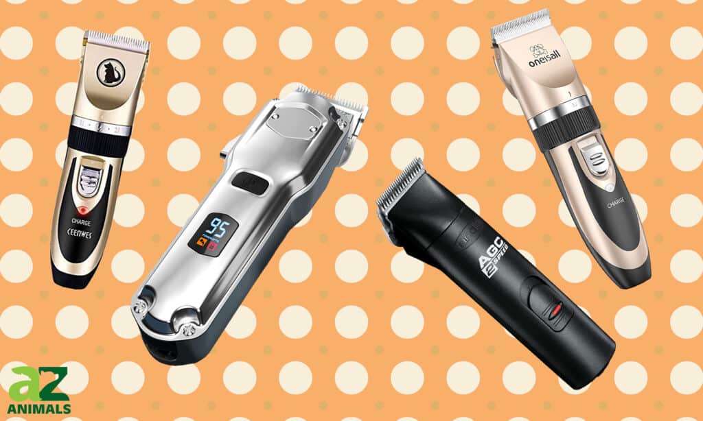 Best Dog Clippers for Grooming: Our Top Choices - A-Z Animals