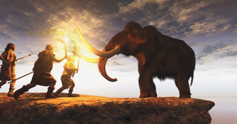 Neanderthal Animal Facts - Homo Sapiens Neanderthalensis - A-Z Animals