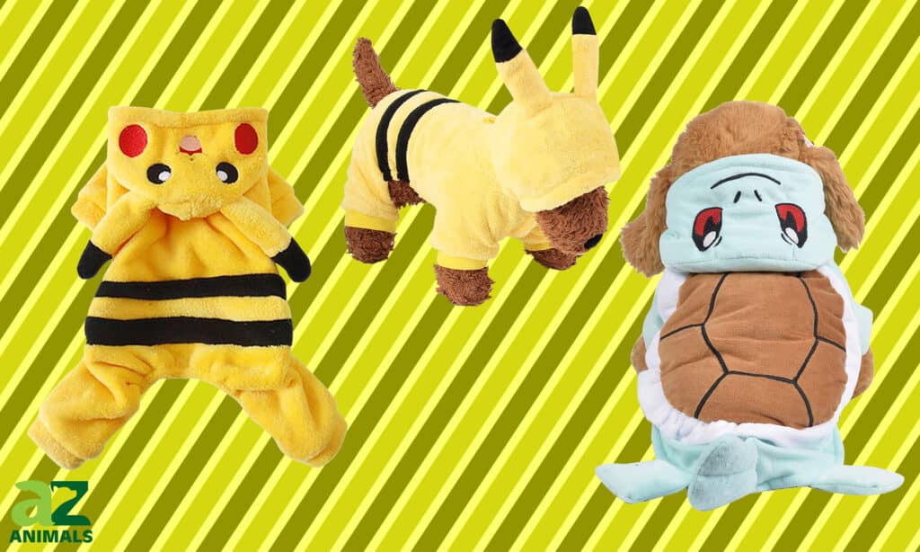 The Best Pokémon Costumes for Dogs - A-Z Animals