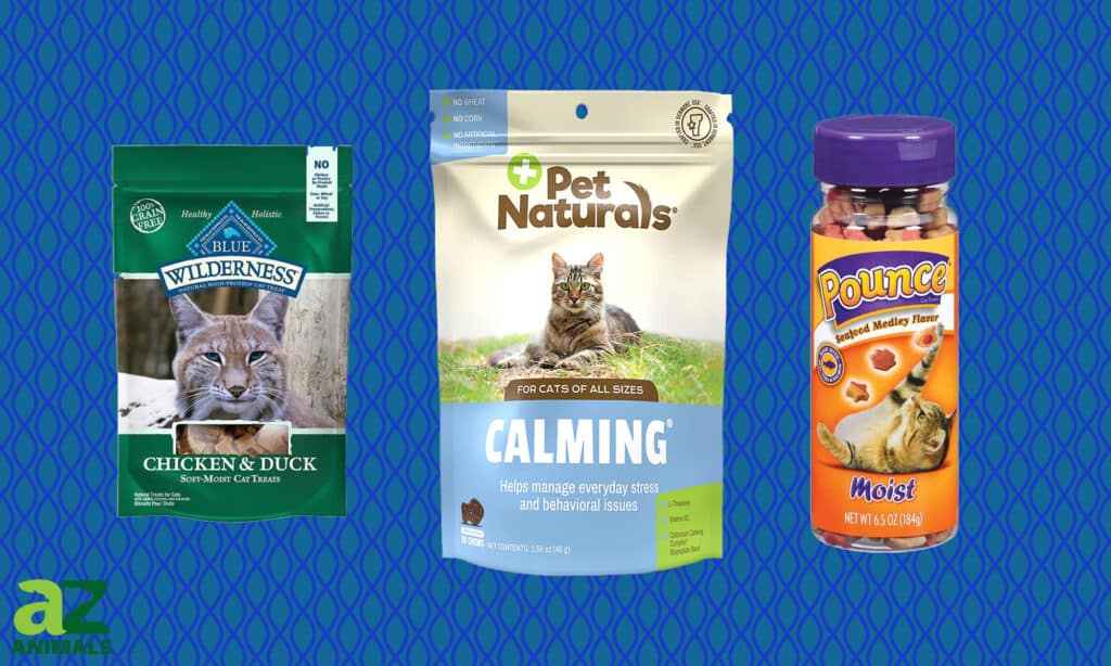 Check Out the Best Soft Cat Treats - A-Z Animals
