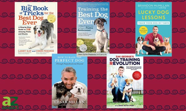 Read the Best Dog Training Books: Ranked and Reviewed - A-Z Animals