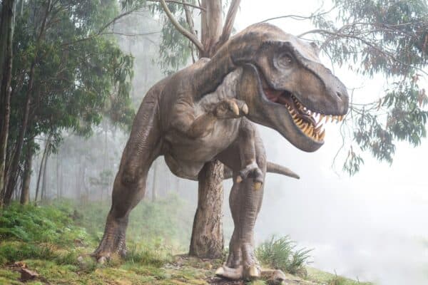 Dinosaur Size Comparison: Prehistoric Giants - A-Z Animals