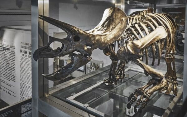 Dinosaur Size Comparison: Prehistoric Giants - A-Z Animals