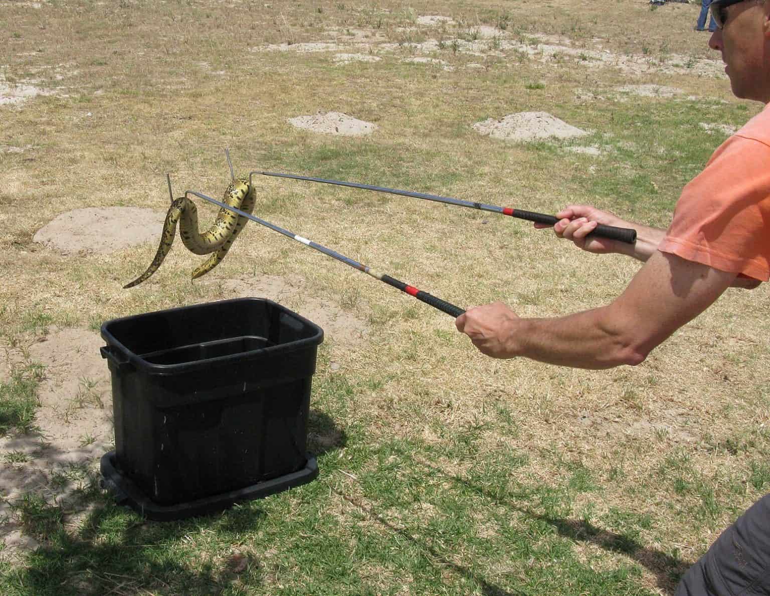 Essential Tools for Snake Removal: Choosing the Right Equipment - A-Z ...