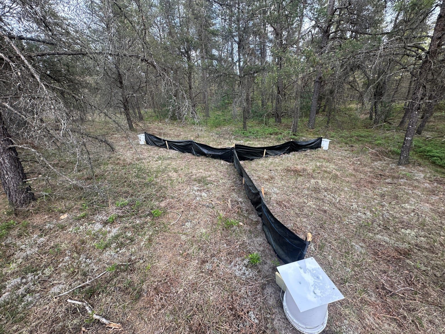 Essential Tools for Snake Removal: Choosing the Right Equipment - A-Z ...