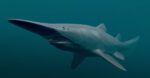 8 Weird and Wonderful Fish That Live in the Deep Sea - A-Z Animals