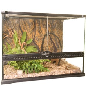 Crested Gecko Enclosures - A-Z Animals