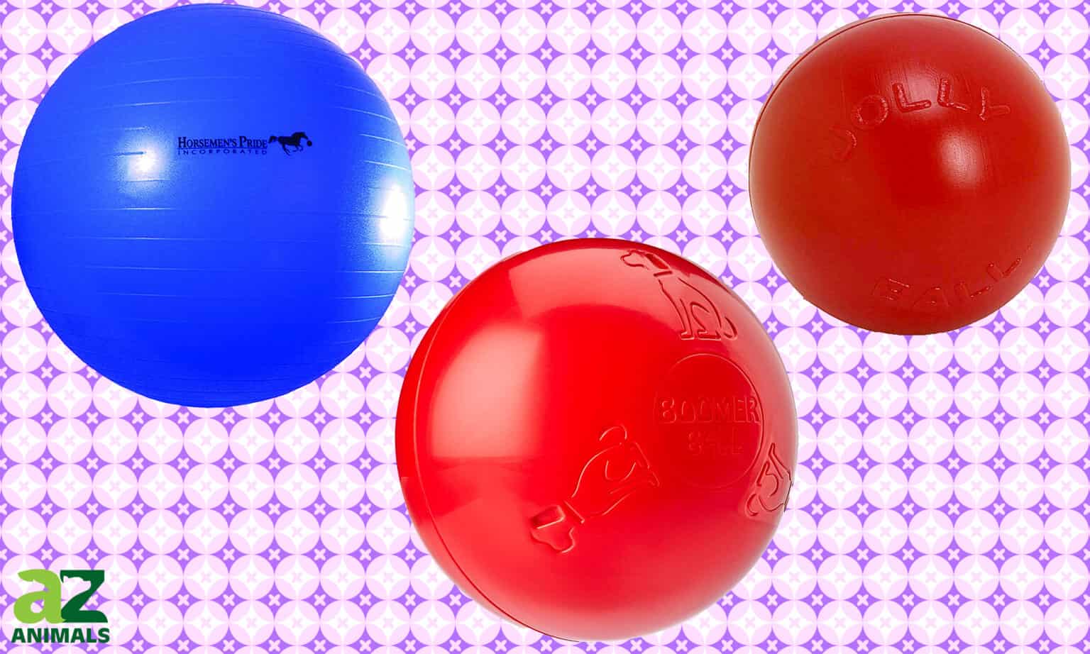 The 4 Best Herding Balls for Dogs: Reviewed - A-Z Animals
