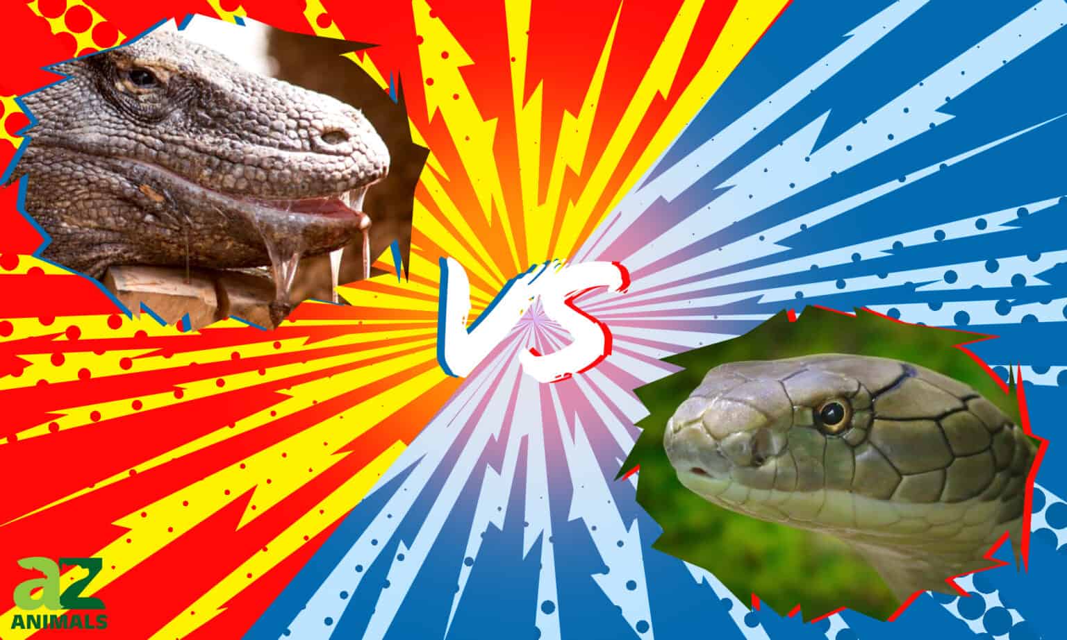 Komodo Dragon vs King Cobra: Who Would Win in a Fight? - A-Z Animals