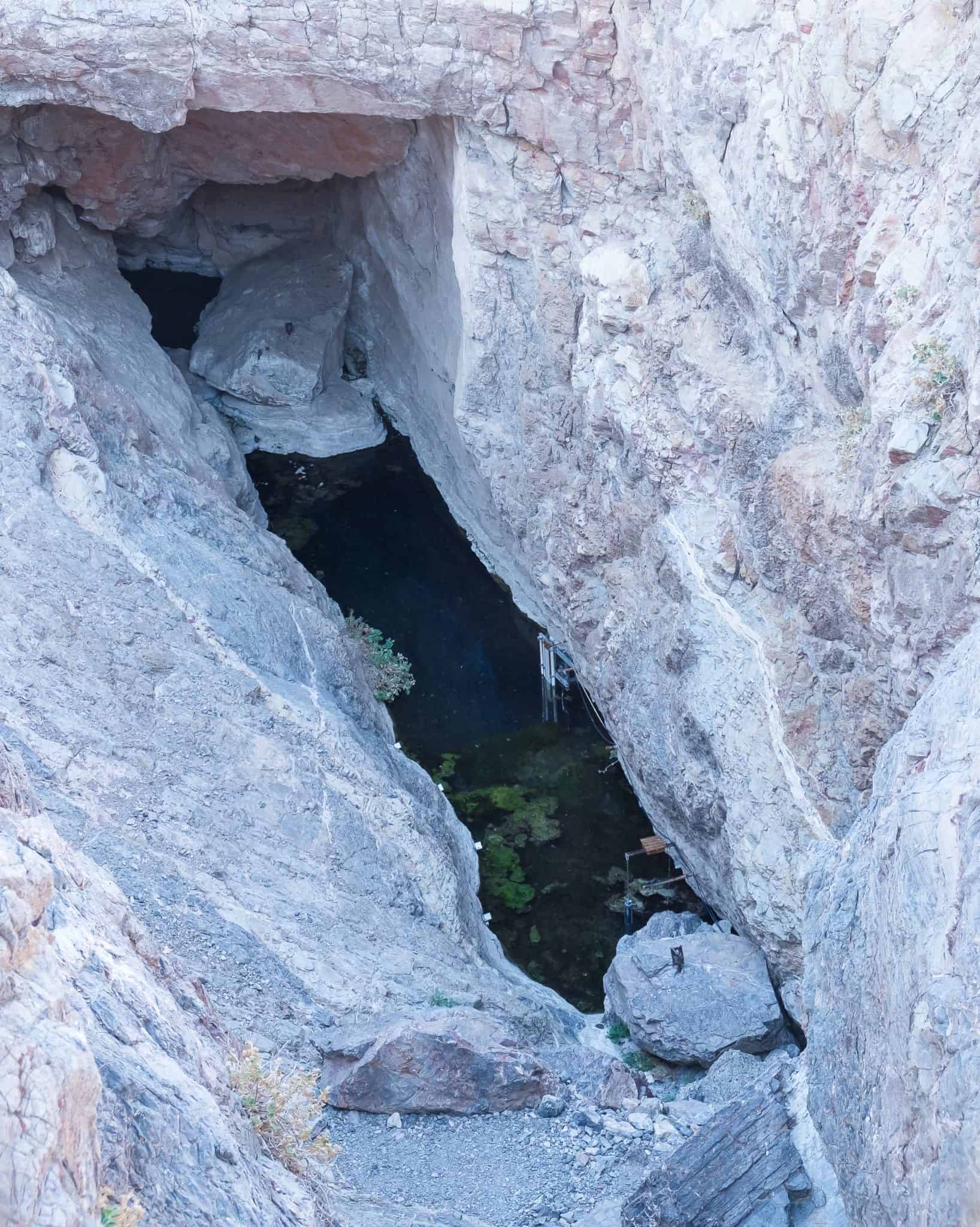 Devil's Hole Pupfish in Decline, Plus Other Types of Rare Fish - A-Z ...