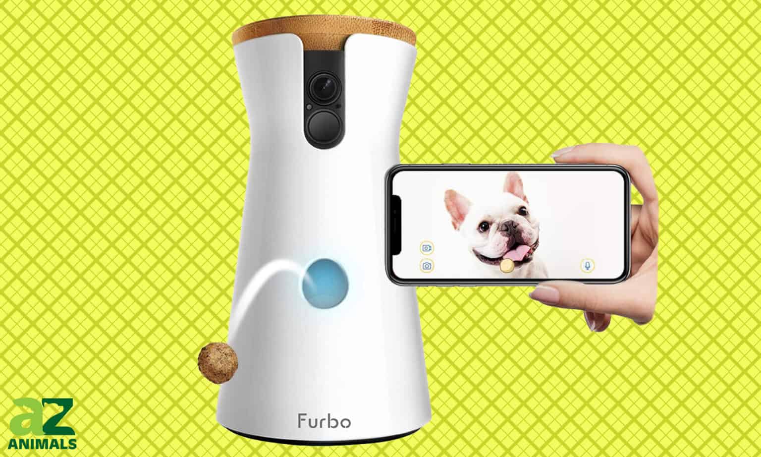 Furbo Dog Camera Guide: Everything You Need to Know - A-Z Animals