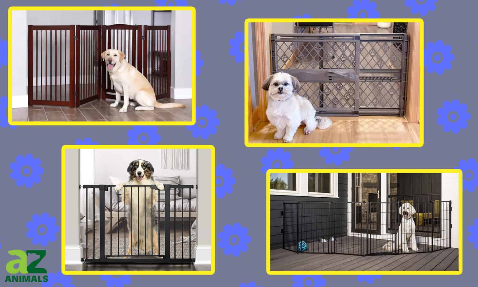 The Best Dog Gates: Reviewed - A-Z Animals