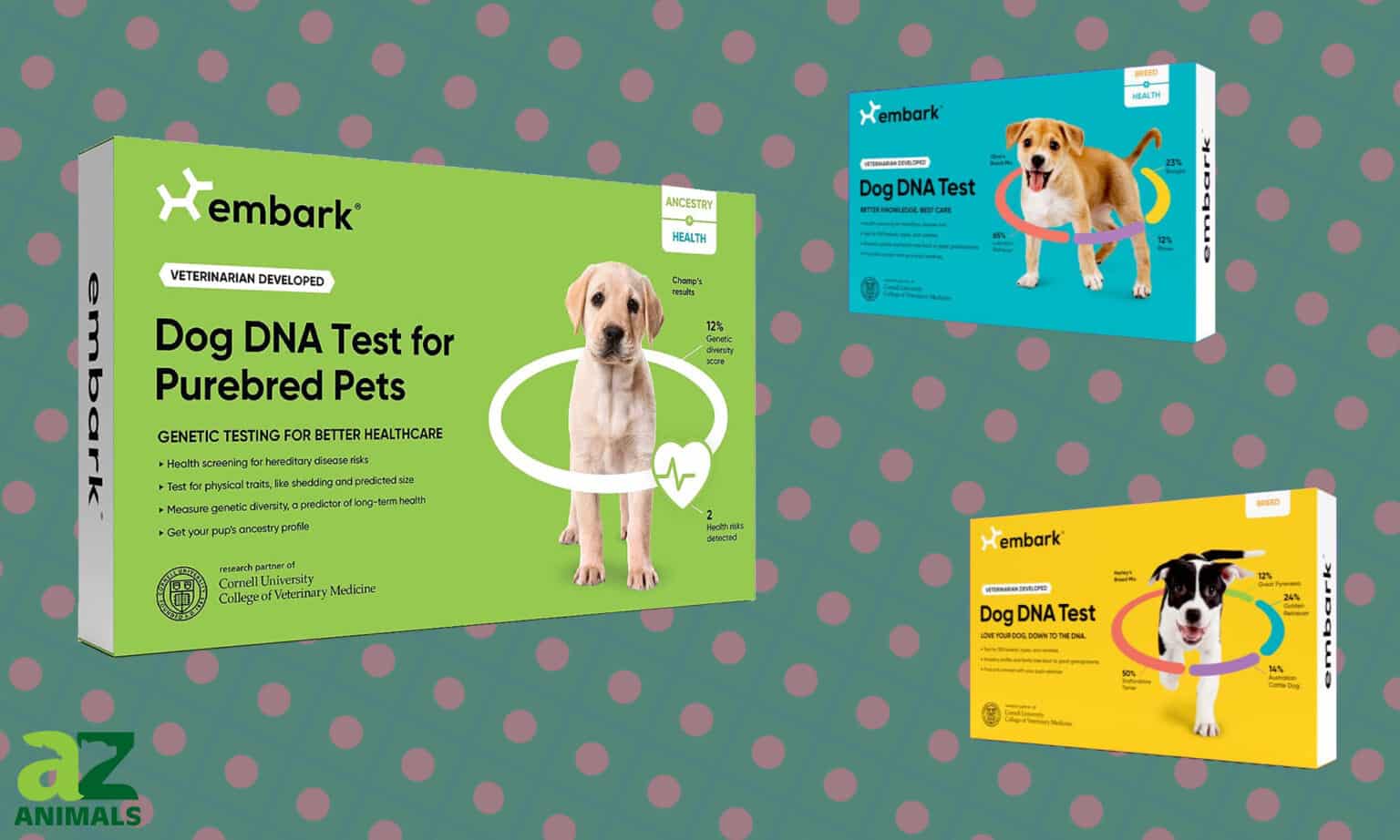 The Best Embark Dog DNA Test: Reviewed - A-Z Animals