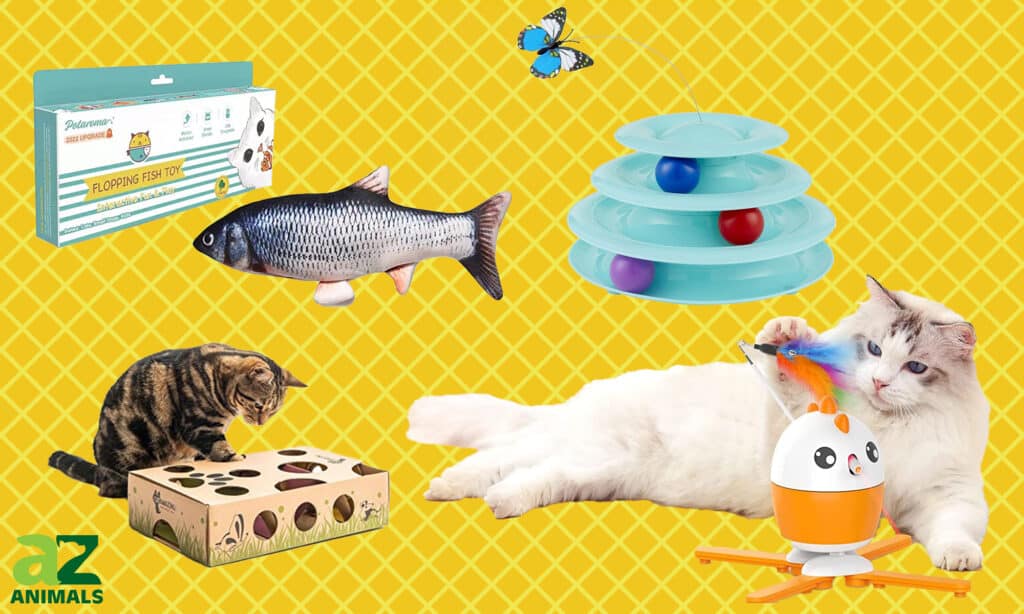 The Best Interactive Cat Toys: Reviewed and Ranked - A-Z Animals