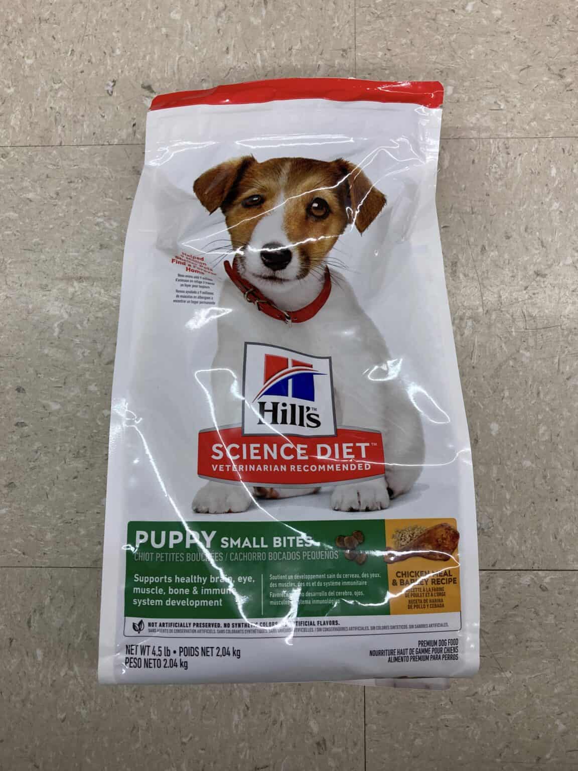 The Best Dog Food for Dachshunds: Reviewed and Ranked by Our Experts ...