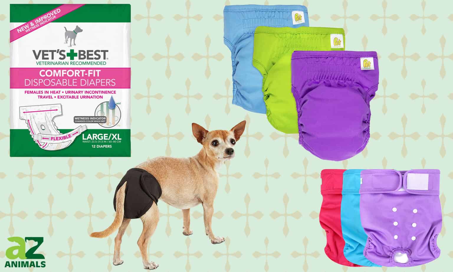 Best Dog Pants: Reviewed and Ranked - A-Z Animals