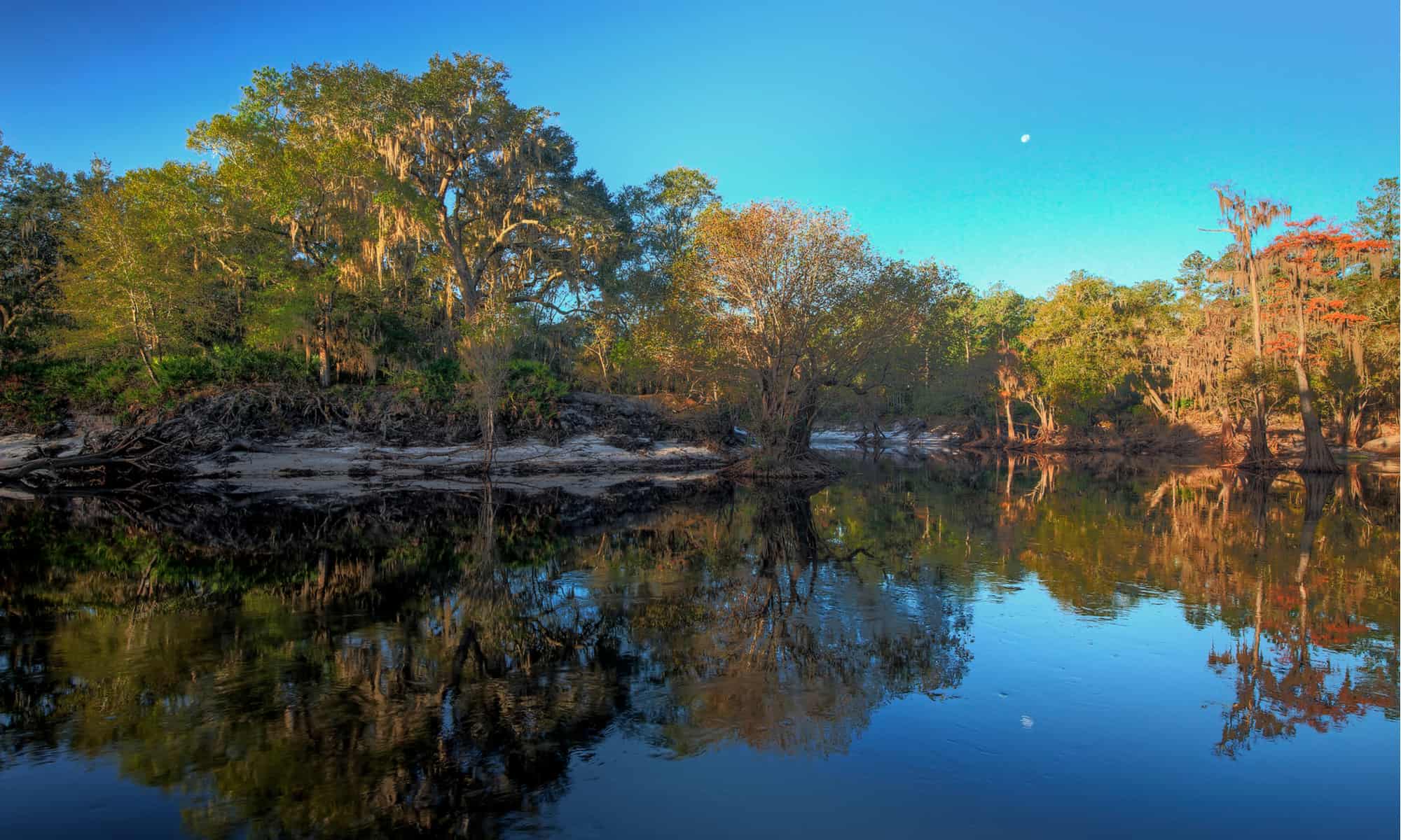 Major rivers in florida