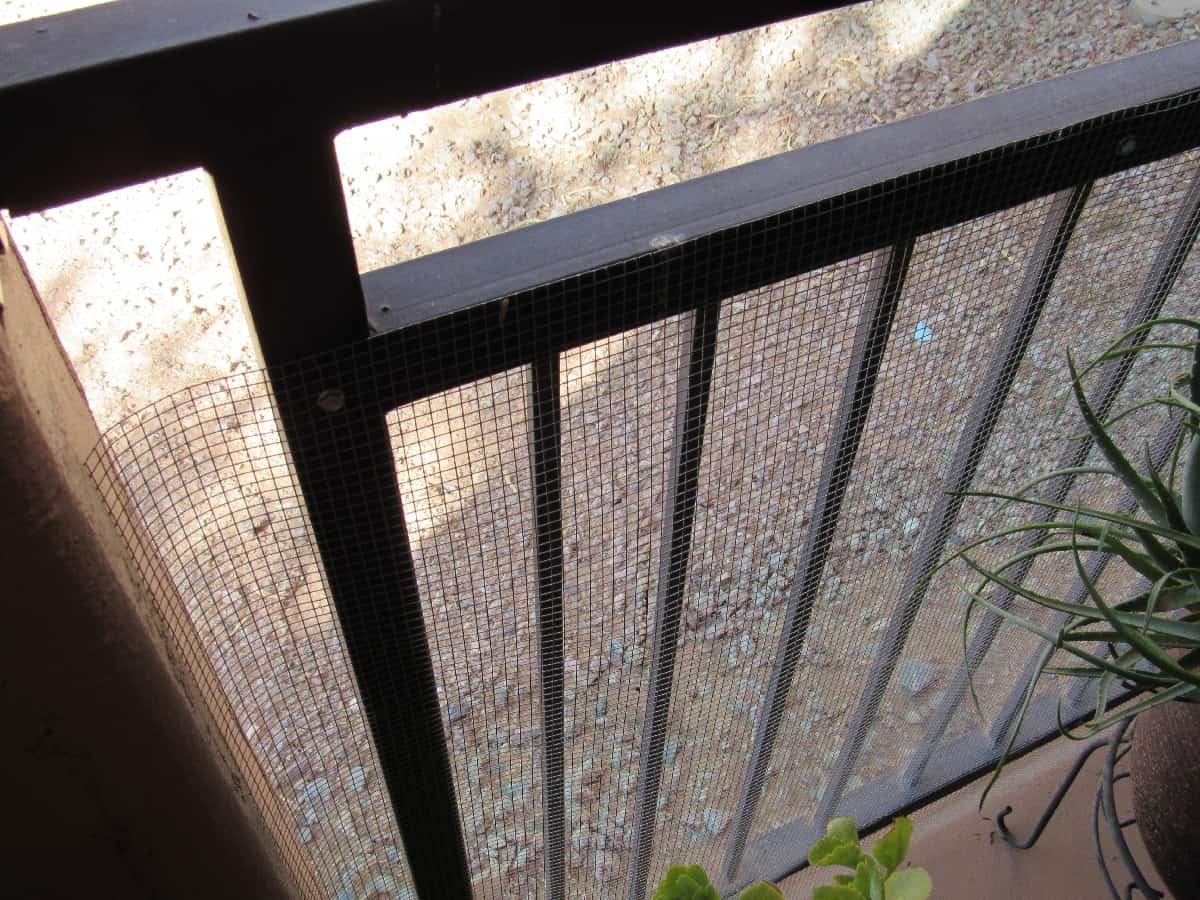 Rattlesnake Fencing: Does it Actually Work? - A-Z Animals