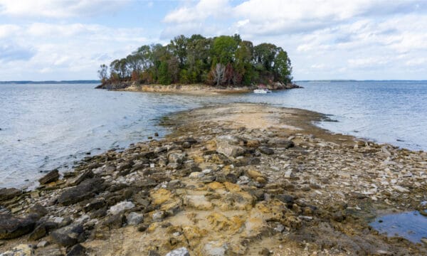 How Wide Is Texas's Lake Sam Rayburn? - A-Z Animals