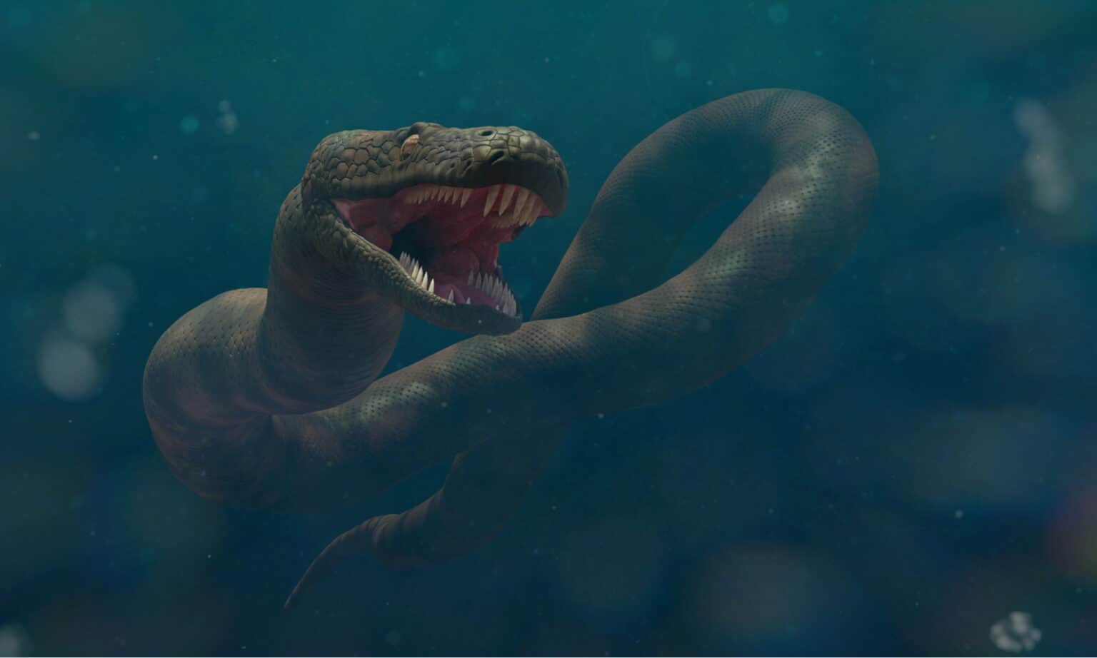 Scientists Discover Ancient Snake that Rivals Titanoboa Size: Just How ...