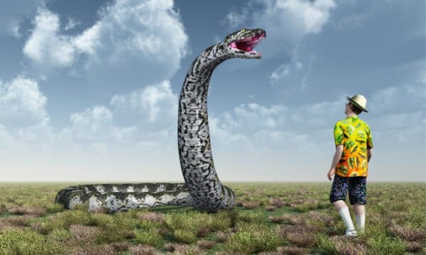7 Snakes That Went Extinct—#1 Could Kill a Lion if it Lived Today! - A ...