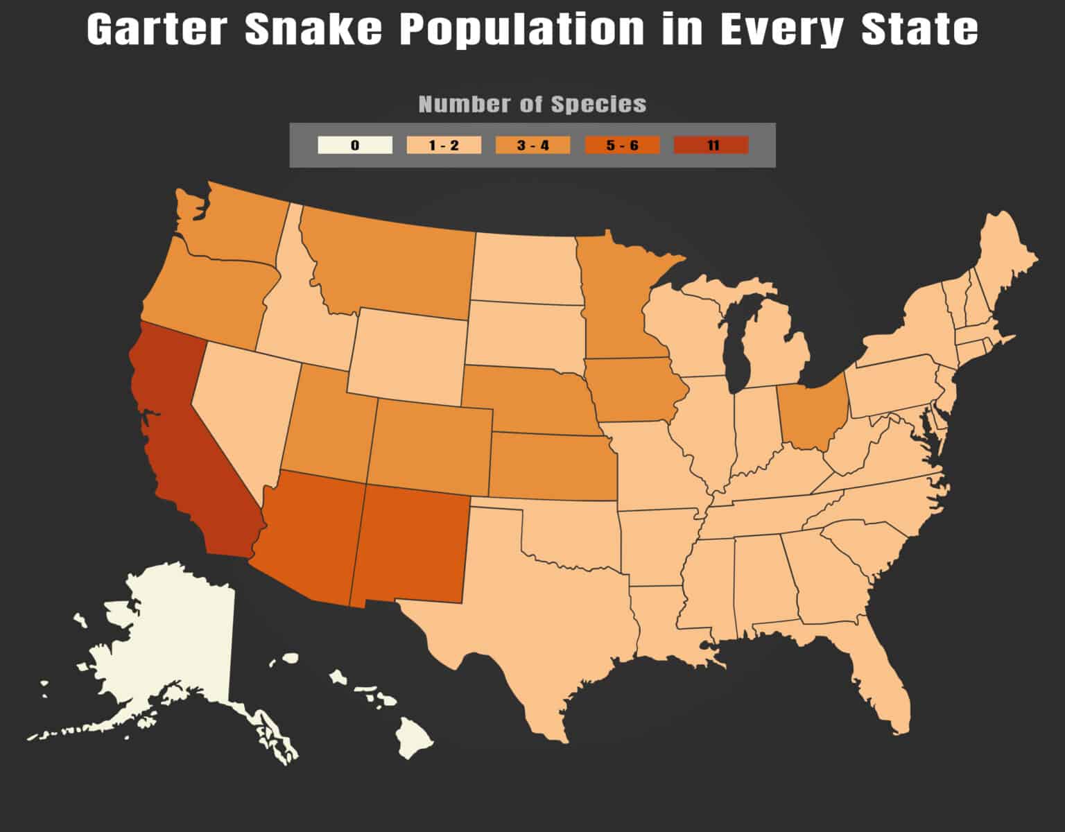 Garter Snake Size Comparison: Just How Big Do They Get? - A-Z Animals