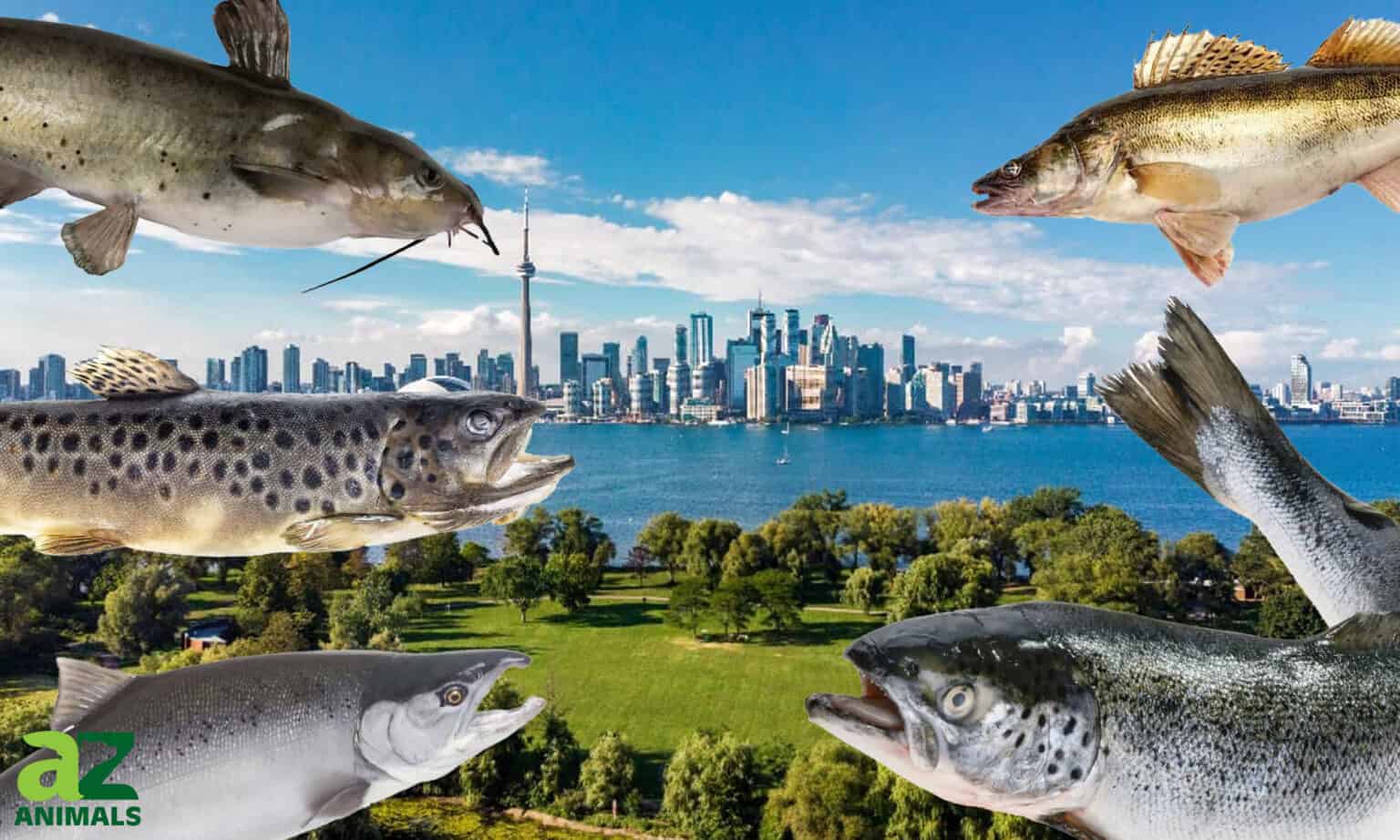 The 15 Largest Fish in the Great Lakes (Plus Honorable Mentions) - A-Z ...