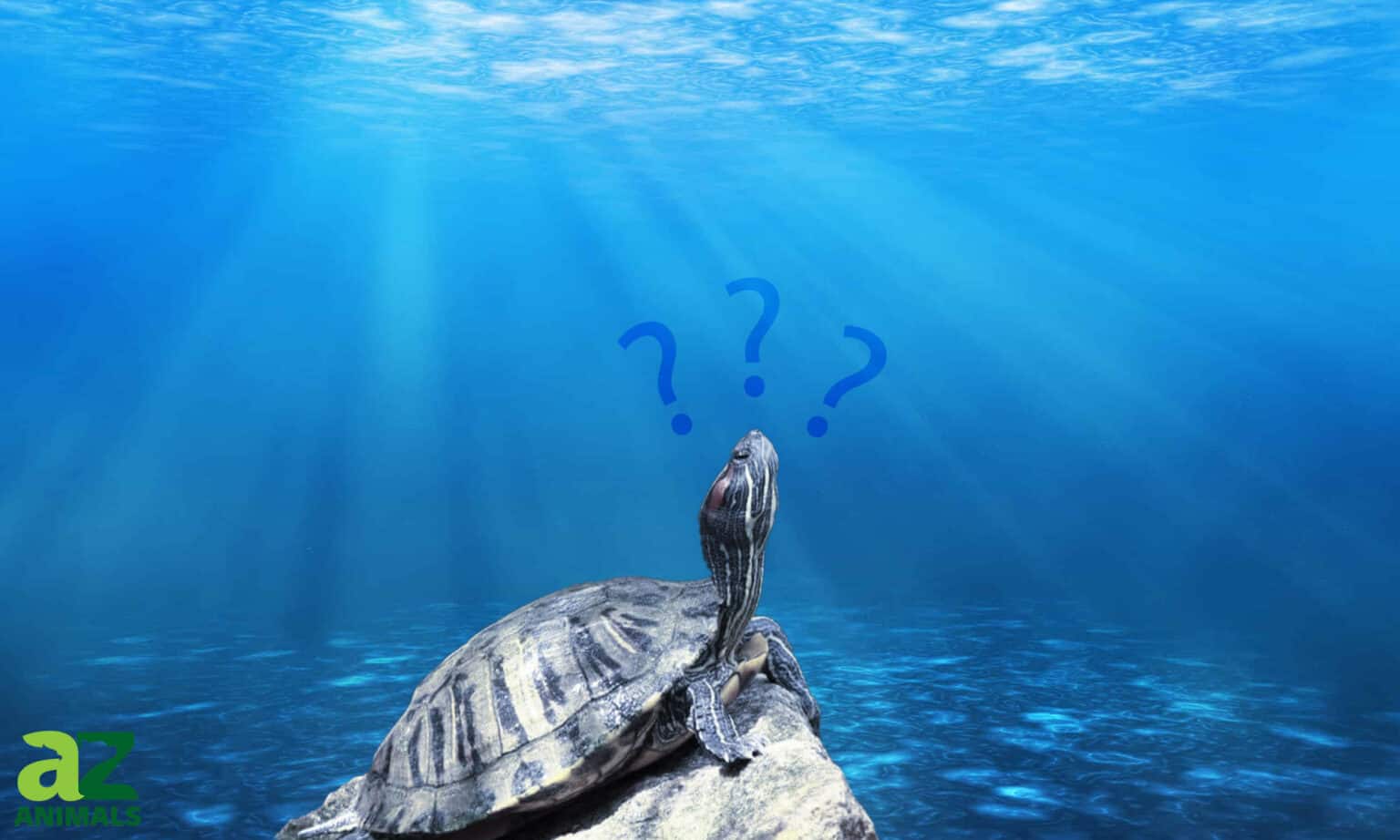 How Deep Is The Mississippi River? - A-Z Animals