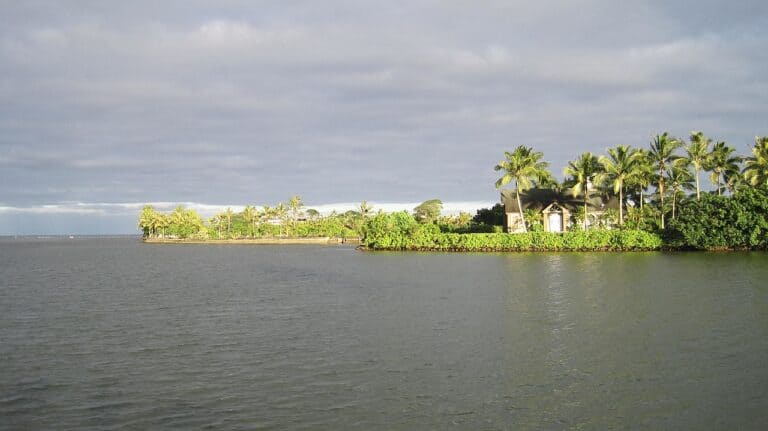 10 Freshwater Bodies in Hawaii - A-Z Animals