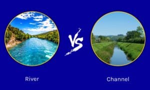 River vs Channel: Are They the Same Thing? - A-Z Animals
