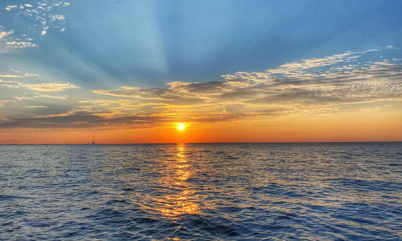 3 Leech Infested Lakes in the USA You Don't Want to Swim In! - A-Z Animals