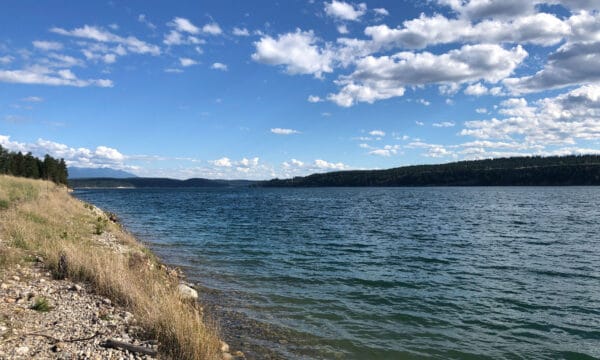 Discover the 10 Largest Man-Made Lakes in Canada - A-Z Animals