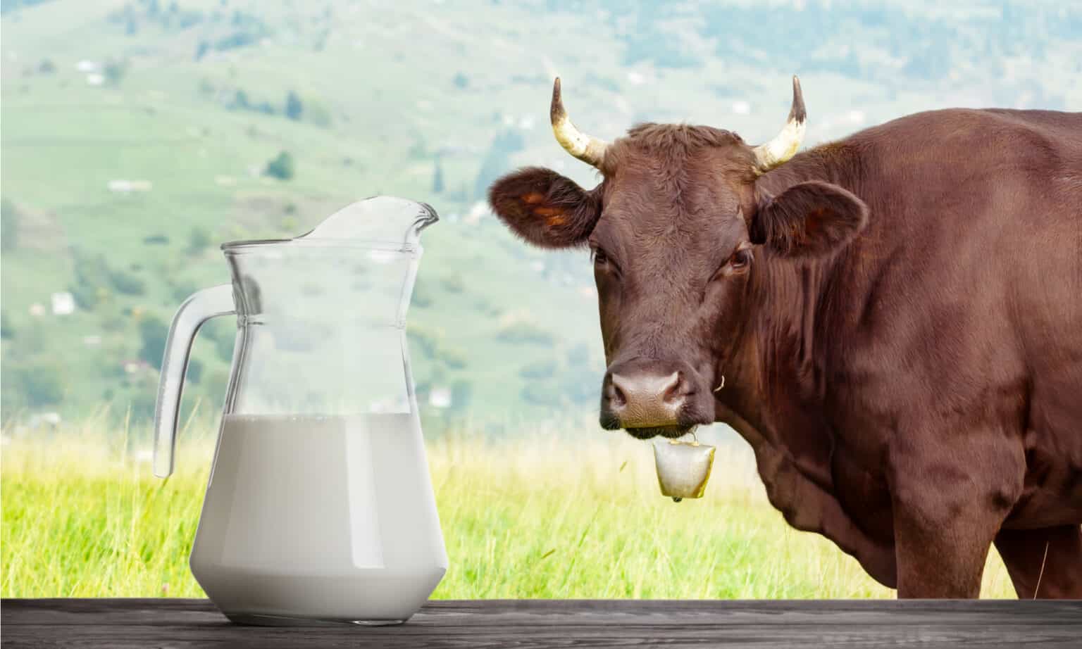 Goat vs Cow Milk: Which Is Better For You? - A-Z Animals