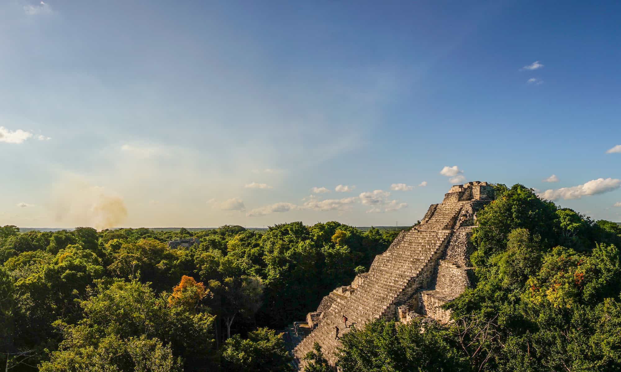 Discover the “Cave of Hanging Serpents” Where Blind and Deaf Snakes ...