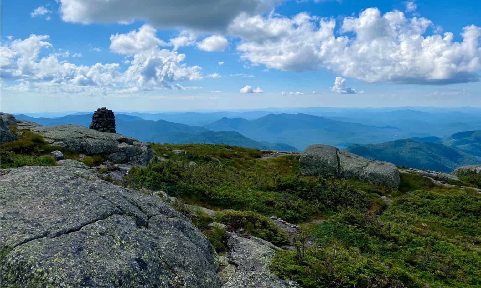 Discover the Largest Forest in New York (And What Lives Within It) - A ...