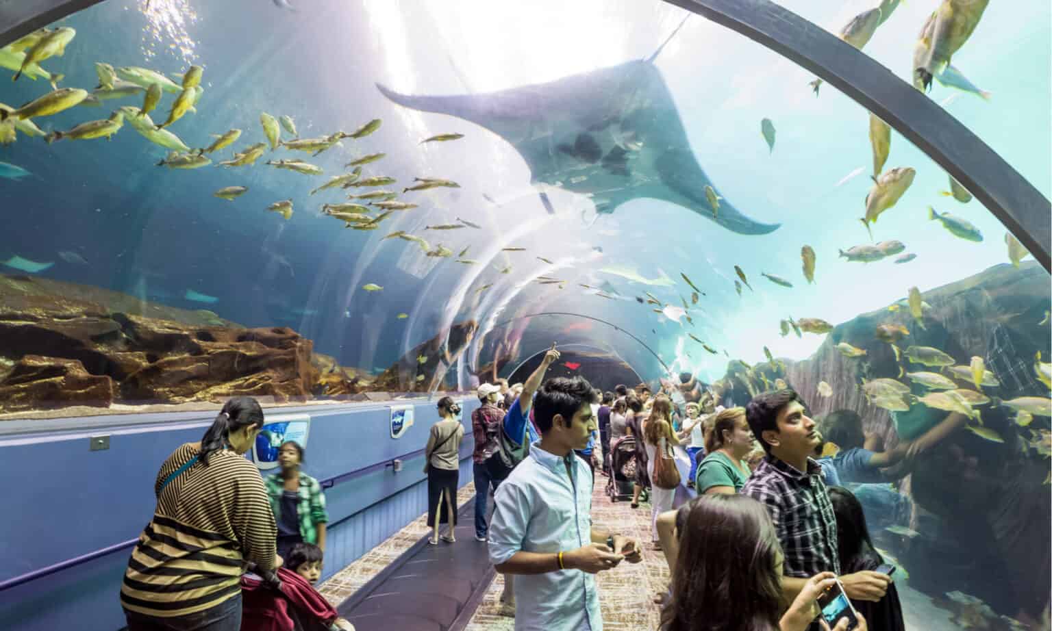 The World's Largest Aquariums Offer Stunning Underwater Sights - A-Z ...