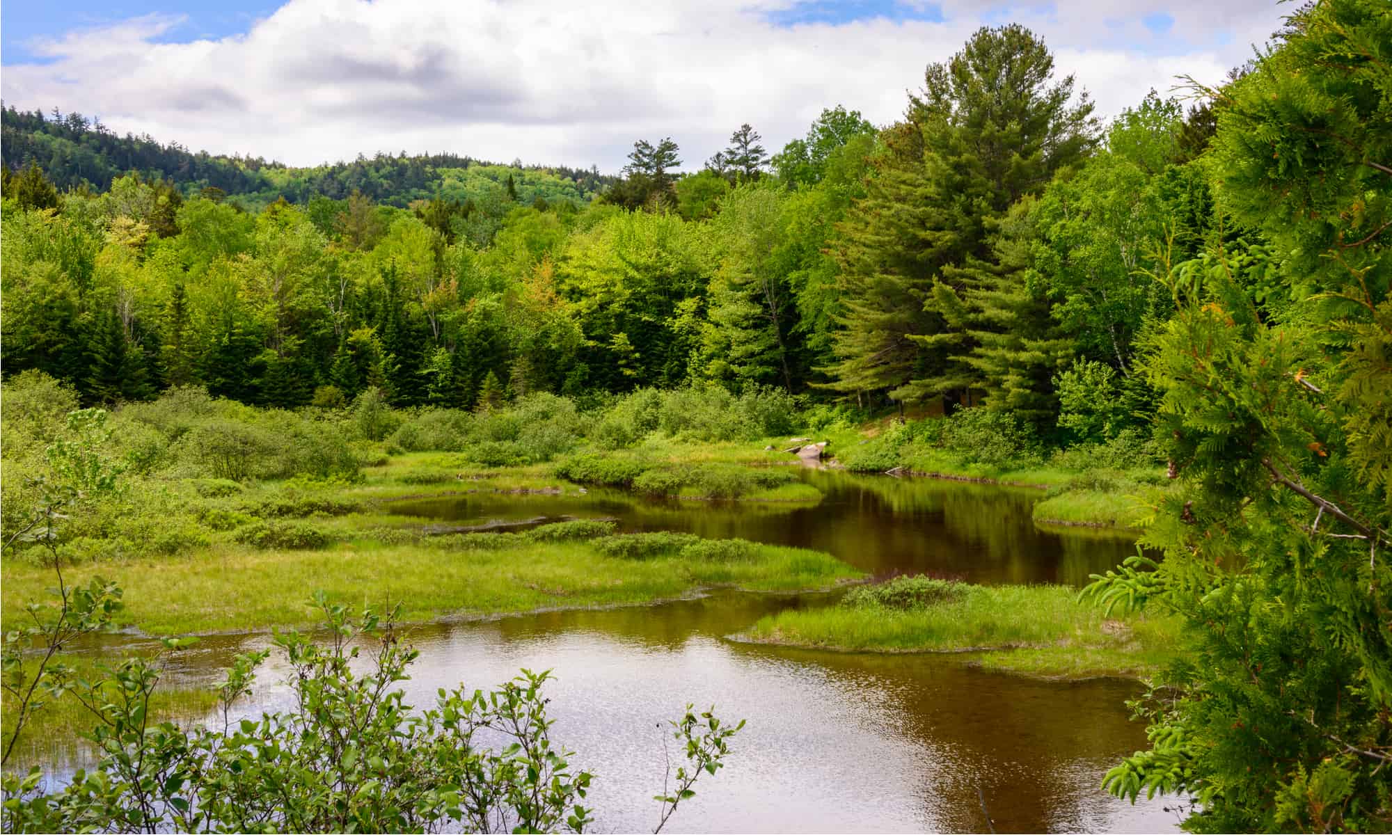 Discover the 6 Best National Parks in Maine - A-Z Animals