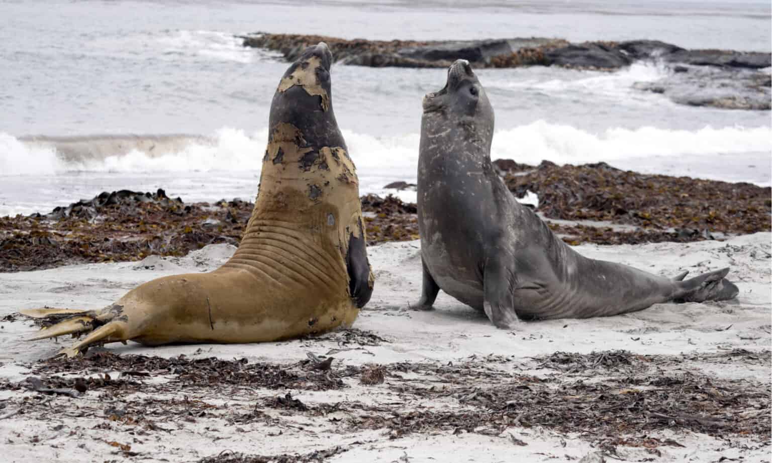 The 3 Best Aquariums in (and Near) Iowa - A-Z Animals