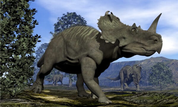 7 Dinosaurs With Horns Like A Rhino (One Looks Like a T-Rex with a Horn ...