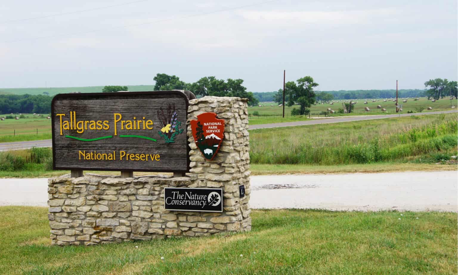 Wildlife in Kansas - Types of Kansan Animals - A-Z Animals