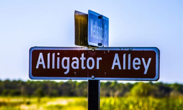 All About Alligator Alley: A Scenic Route Through The Florida ...