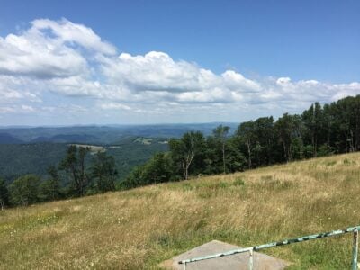 Discover 12 Animals That Prowl Atop Maryland's Tallest Mountain - A-Z ...