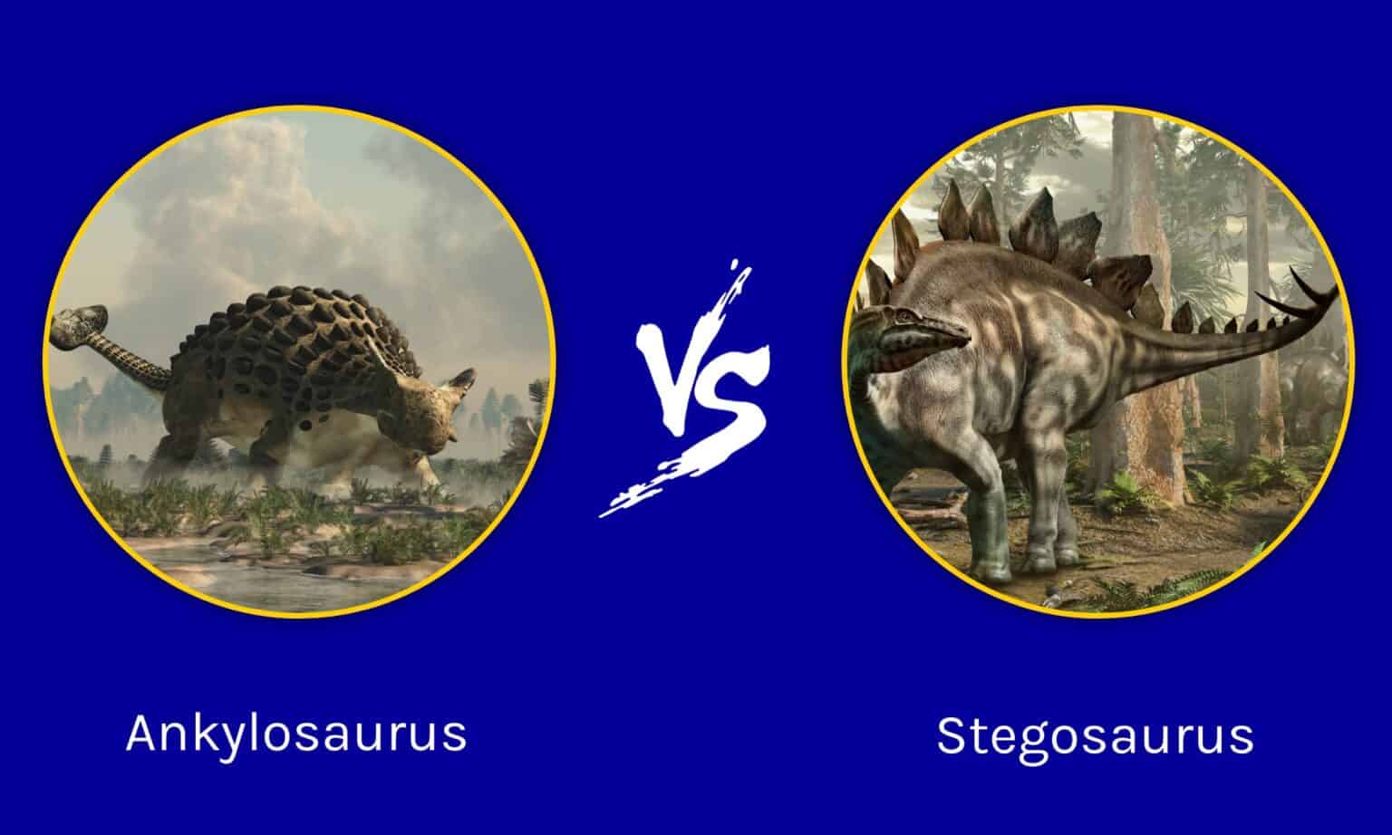 Ankylosaurus vs Stegosaurus: What Are the Differences? - A-Z Animals