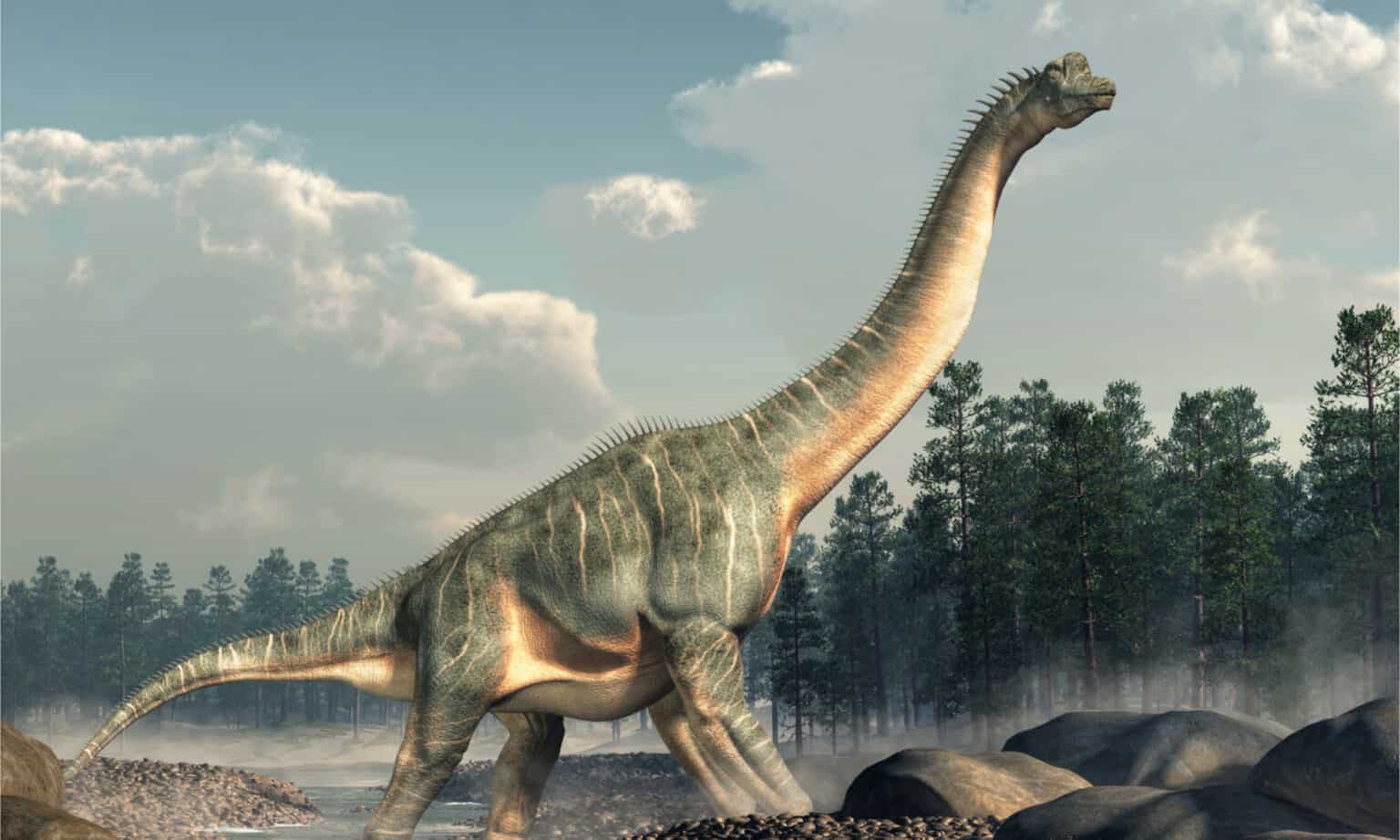 Brachiosaurus Animal Facts - Brachiosaurus - A-Z Animals